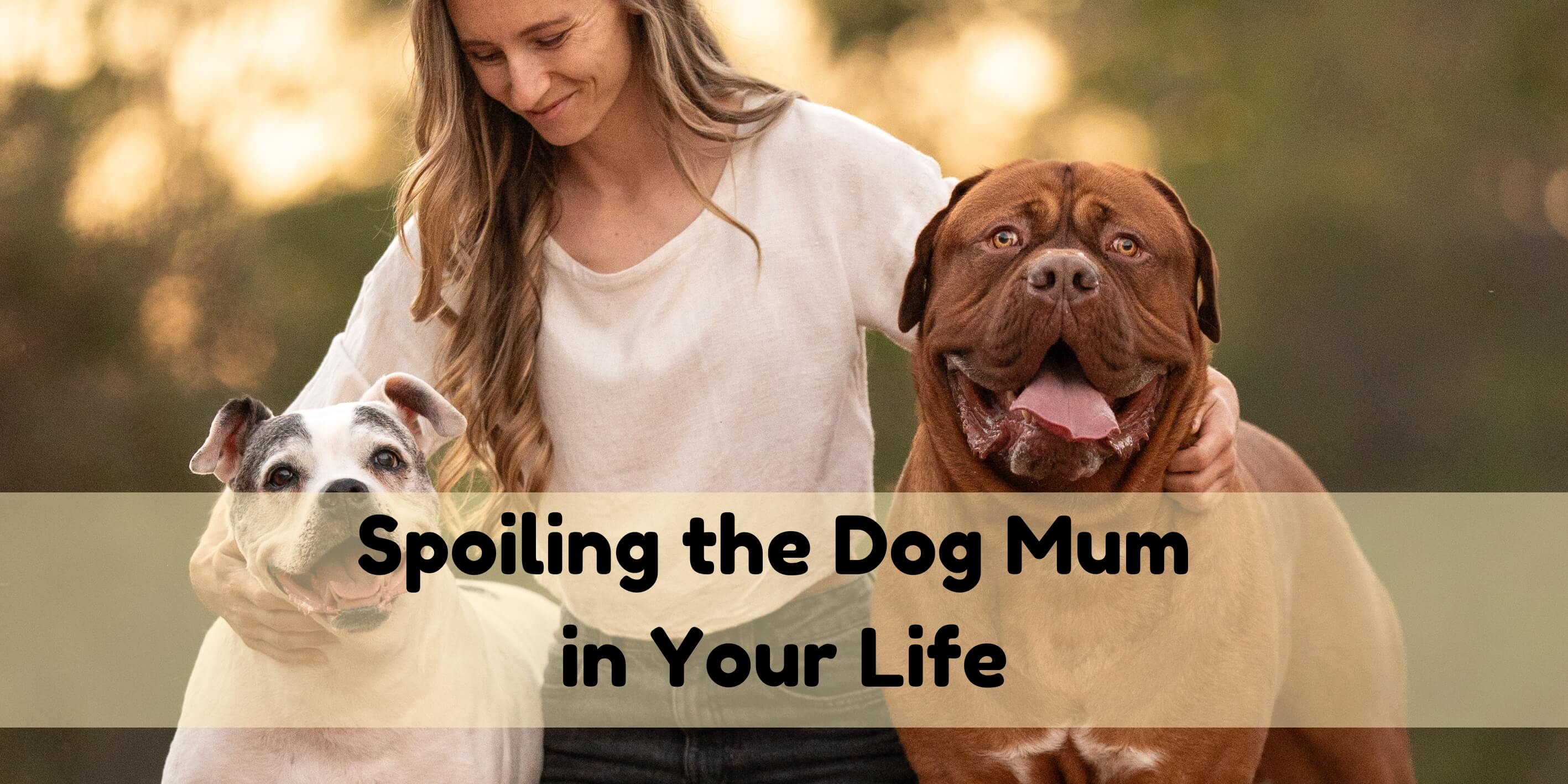Spoiling the Dog Mum in Your Life: A Comprehensive Guide to Heartwarmi ...